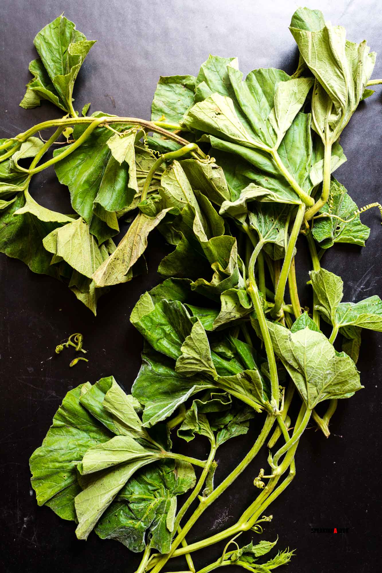 Lau Patay Chingri Macher Paturi Recipe - Bengali Prawn Recipes